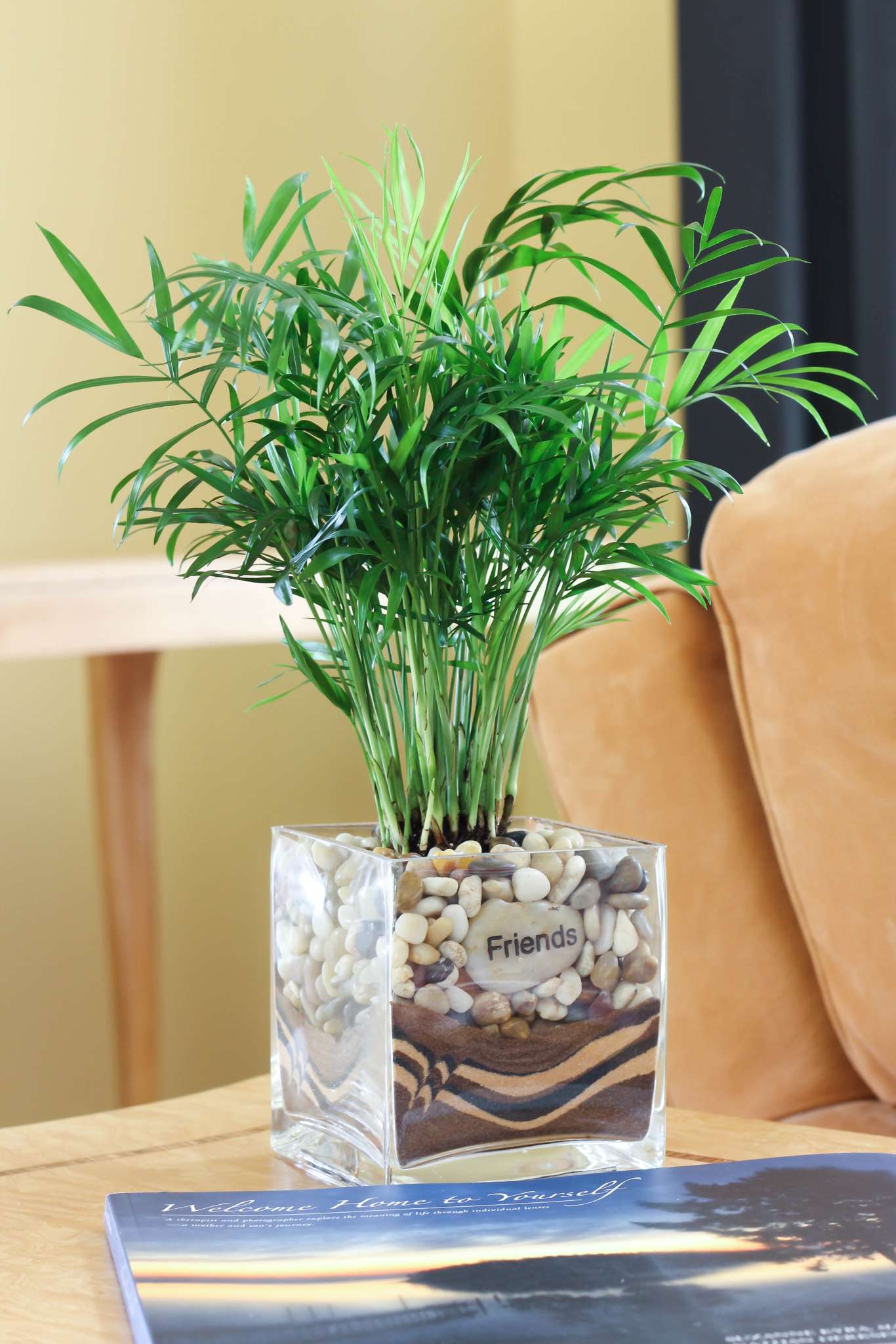 Guide to Tropical Palm Plant Care - Horty Girl