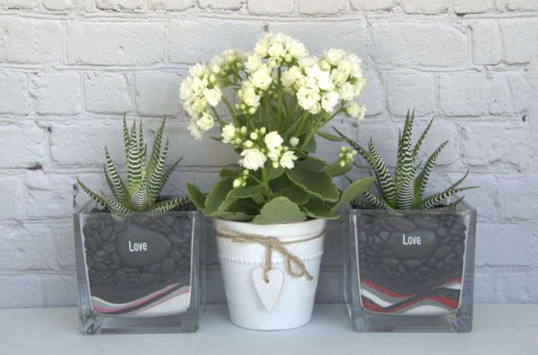 Top Care Tips For Your Calandiva Potted Plant - Horty Girl