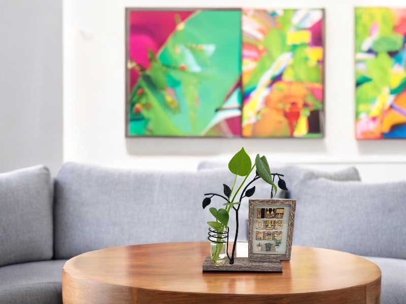 Top Care Tips for Plant Stems in Water - Horty Girl