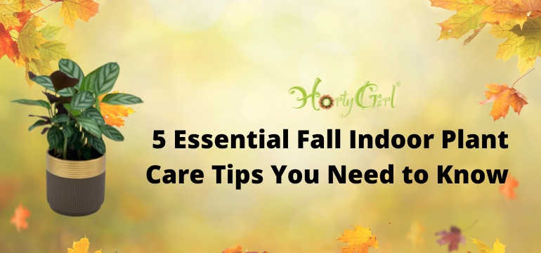 5 Essential Fall Indoor Plant Care Tips You Need to Know - Horty Girl