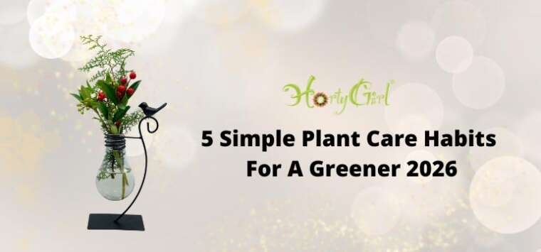 5 Simple Plant Care Habits for a Greener 2026 - Horty Girl